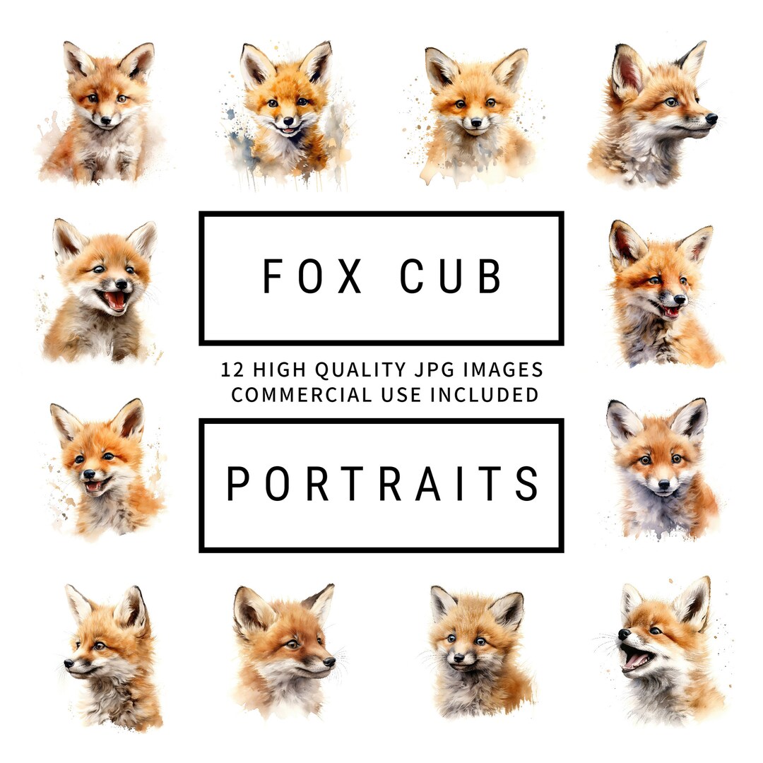 Fox Cub Portraits Clipart 12 High Quality Jpgs Digital - Etsy
