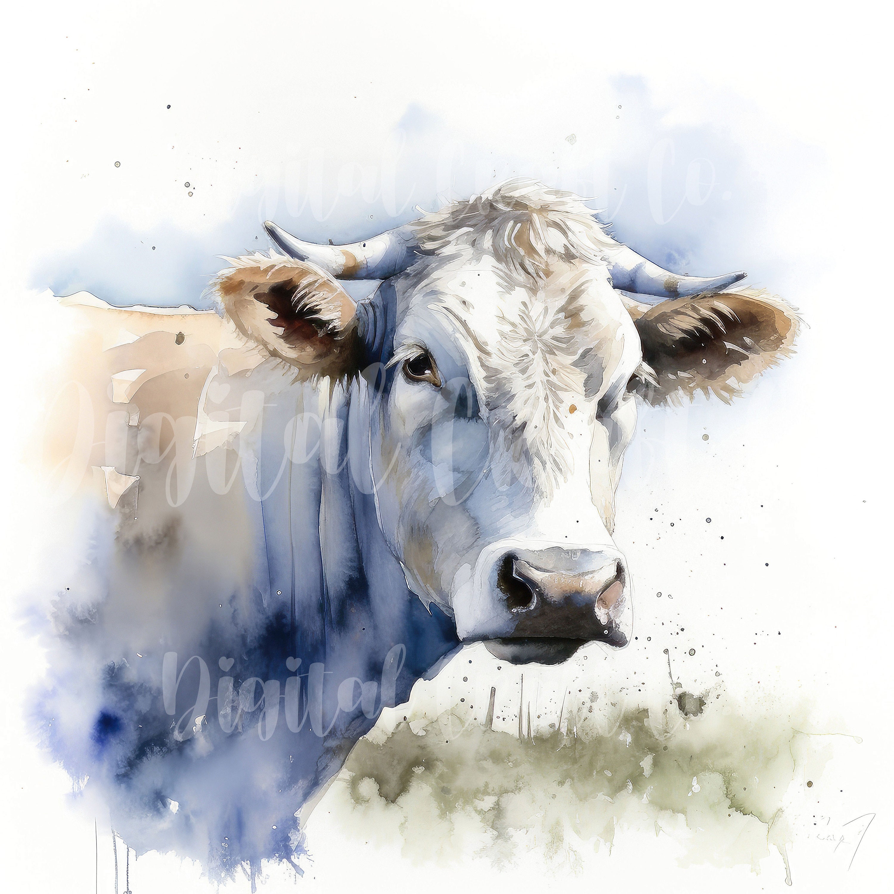 Majestic Bull Clipart 12 High Quality Jpgs Digital - Etsy