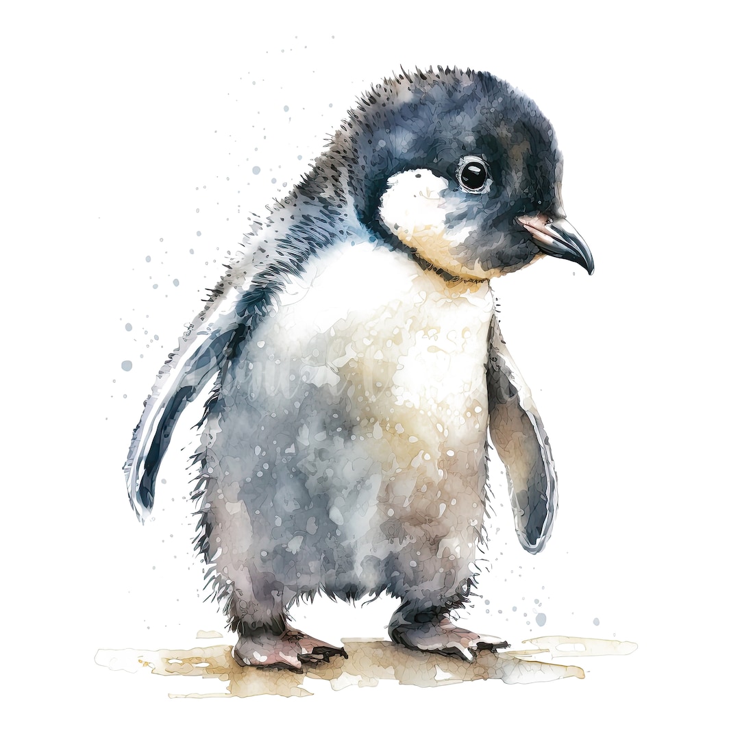 Baby Penguin Clipart 10 High Quality Jpgs Digital Download Card Making ...