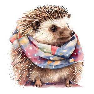 Winter Hedgehog Clipart 10 High Quality Jpgs Digital Download Card ...