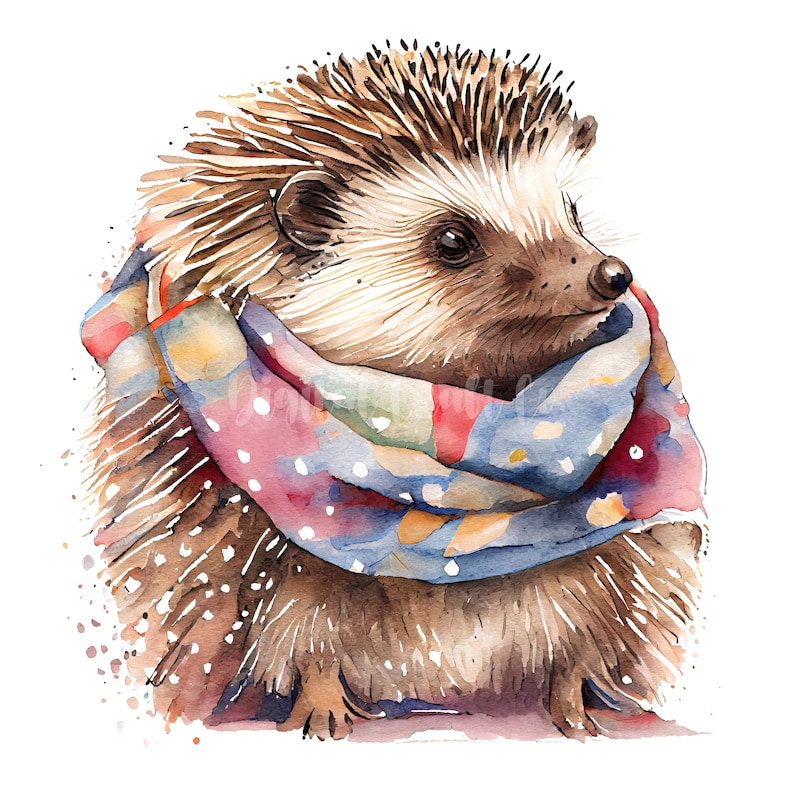 Winter Hedgehog Clipart 10 High Quality Jpgs Digital - Etsy