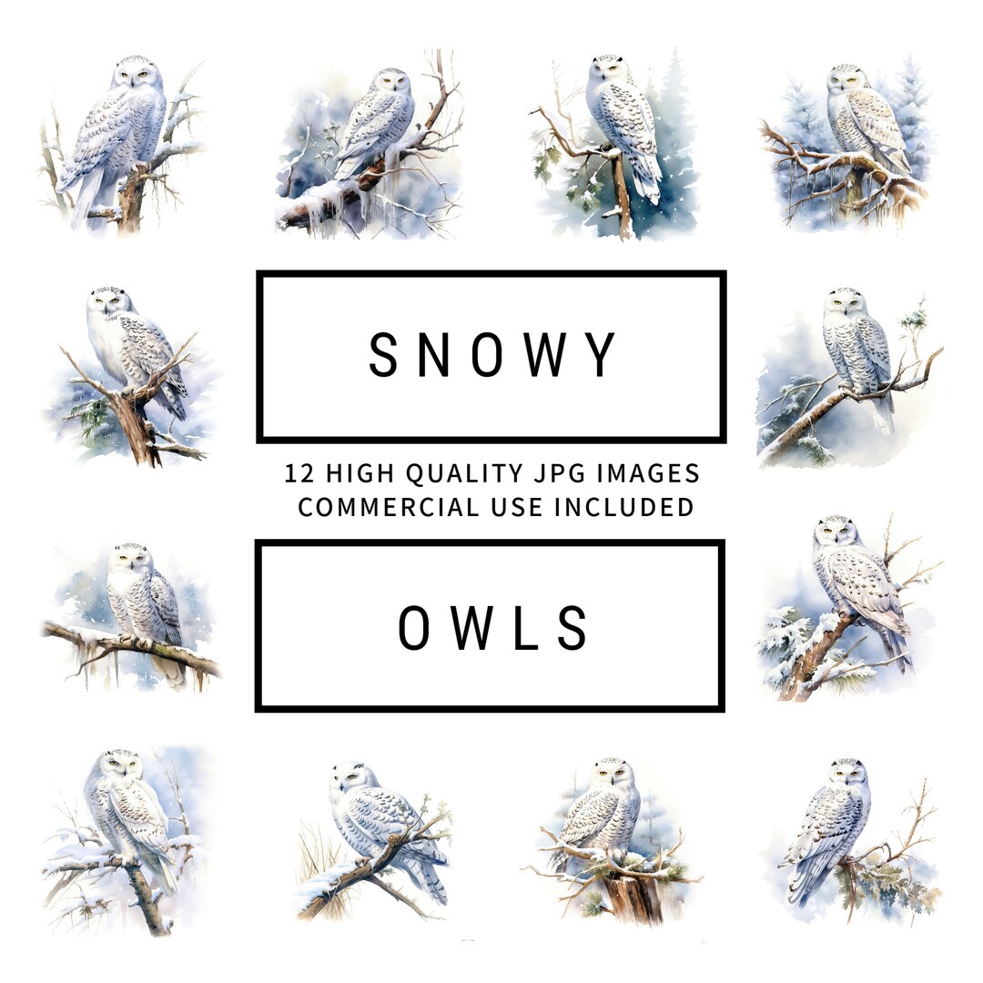 Snowy Owl Clipart 12 High Quality Jpgs Digital Planner, Junk Journal ...