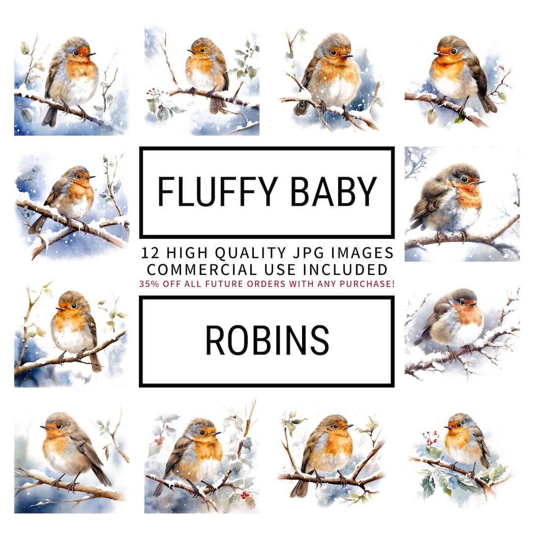 Fluffy Baby Robin Clipart 12 High Quality Jpgs Digital Planner ...