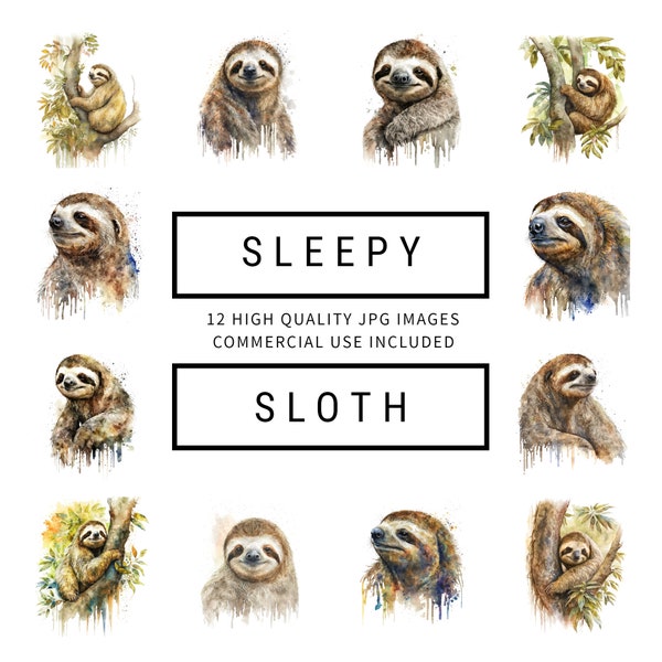 Sloth Watercolor - Etsy
