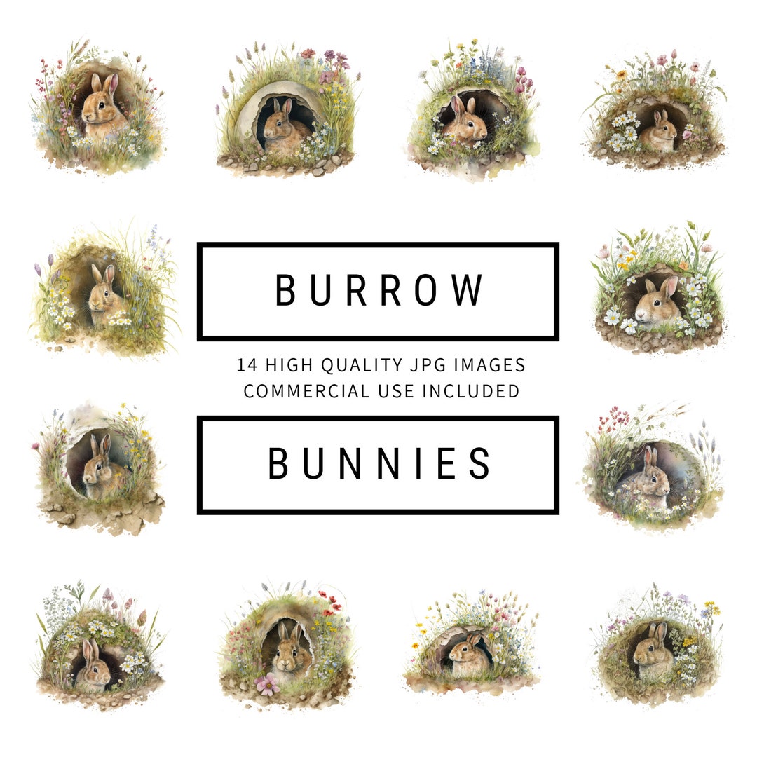 Burrow Bunnies Clipart 10 High Quality Jpgs Digital Paper Crafting ...