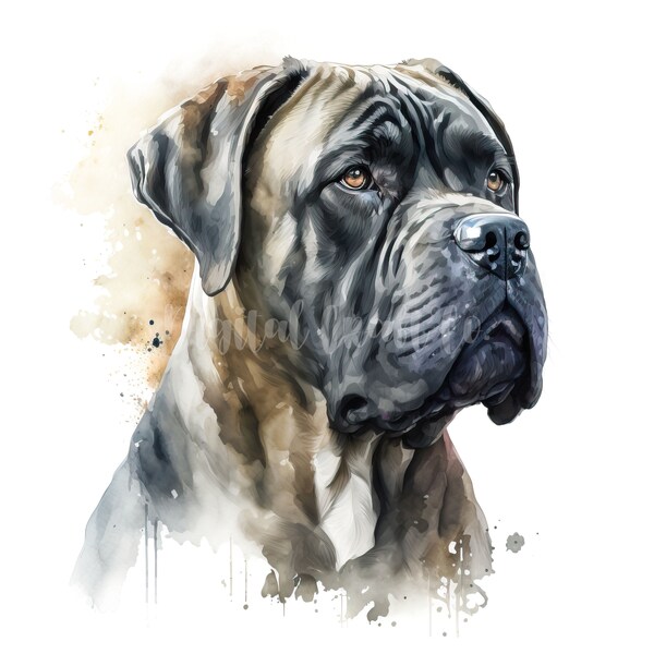 Cane Corso - Etsy