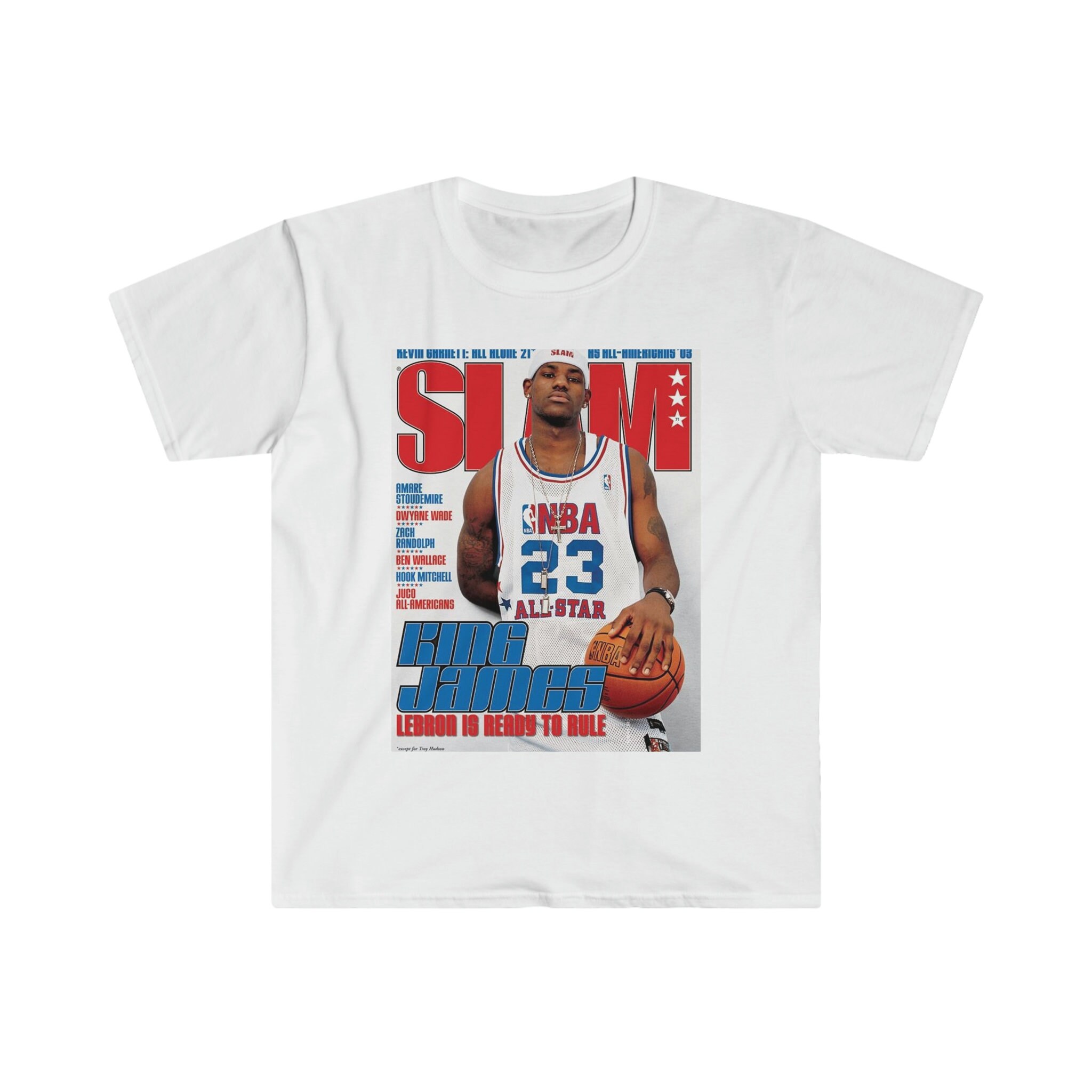 What The Lebron Shirt