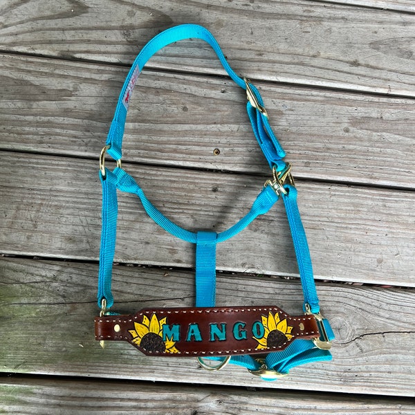 Bronc Halter - Etsy