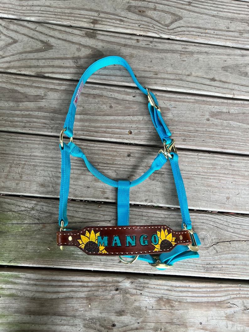 Custom Leather Bronc Halter - Etsy