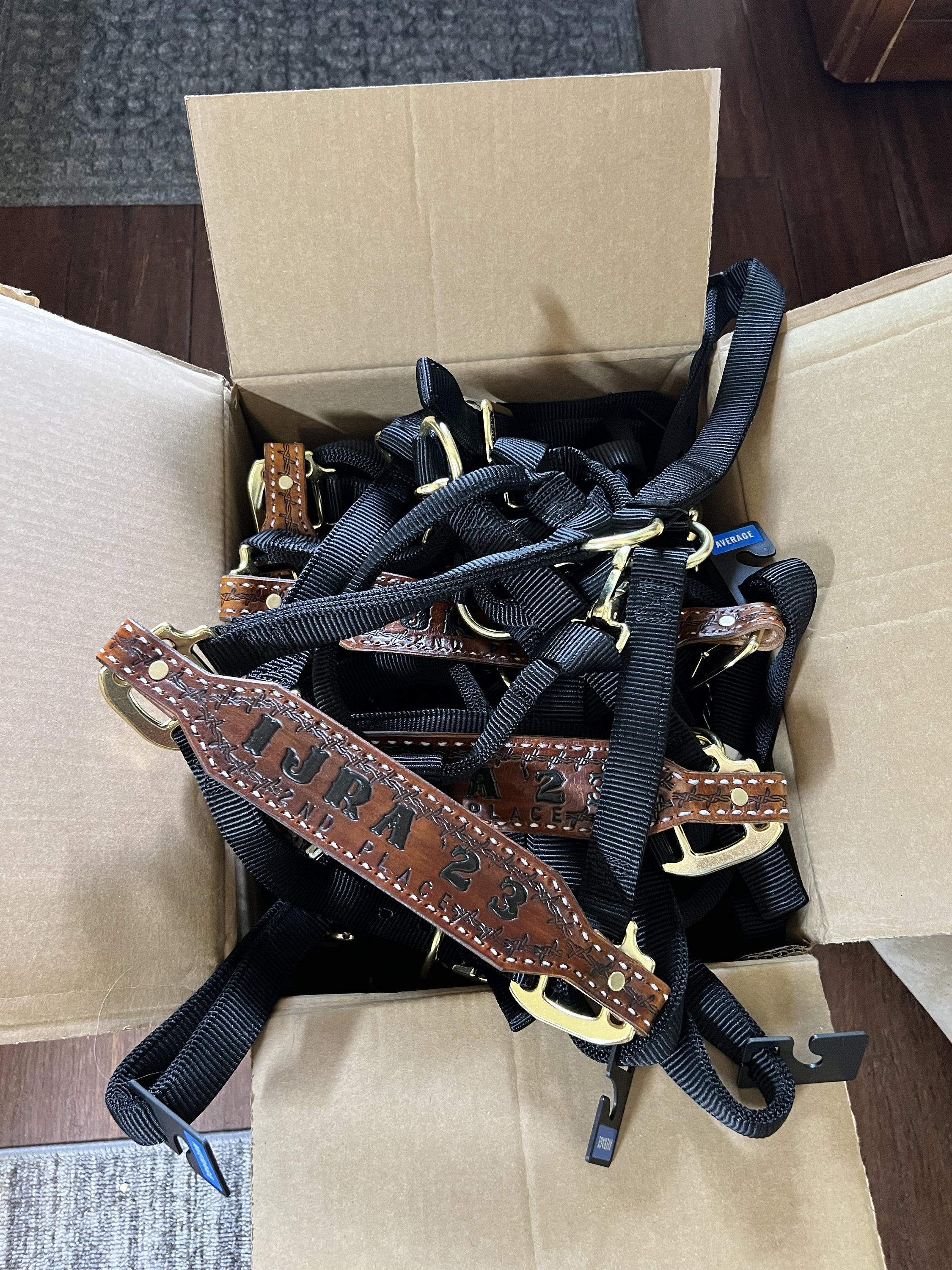 Custom Leather Bronc Halter - Etsy