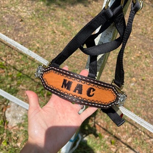 Custom Leather Bronc Halter - Etsy