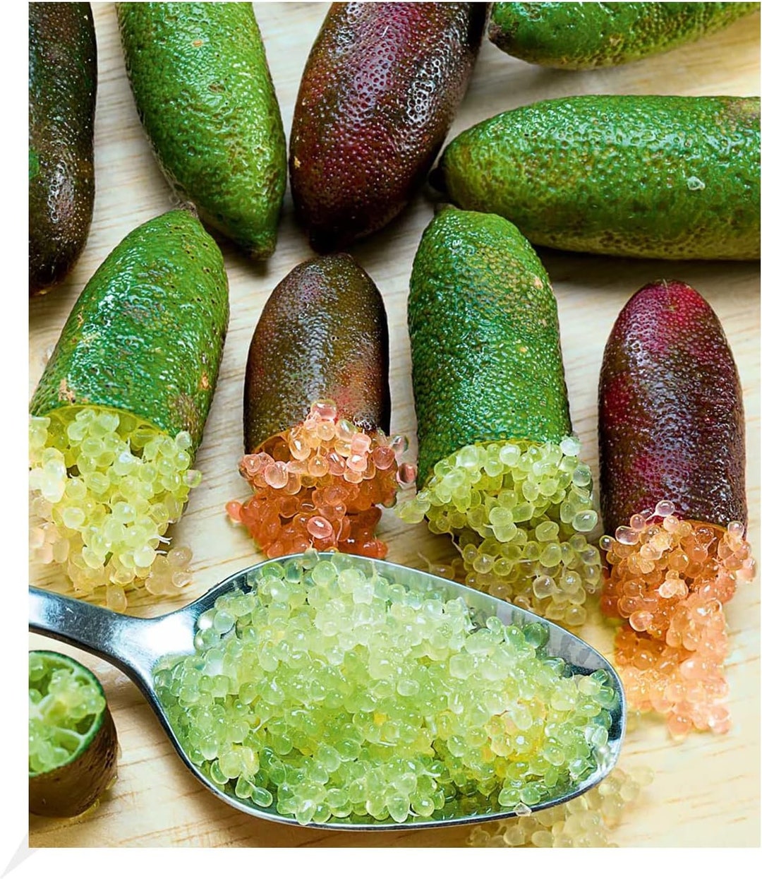 BALDUR Garden Caviar Lime 1 Plant Finger Lime Perennial - Etsy