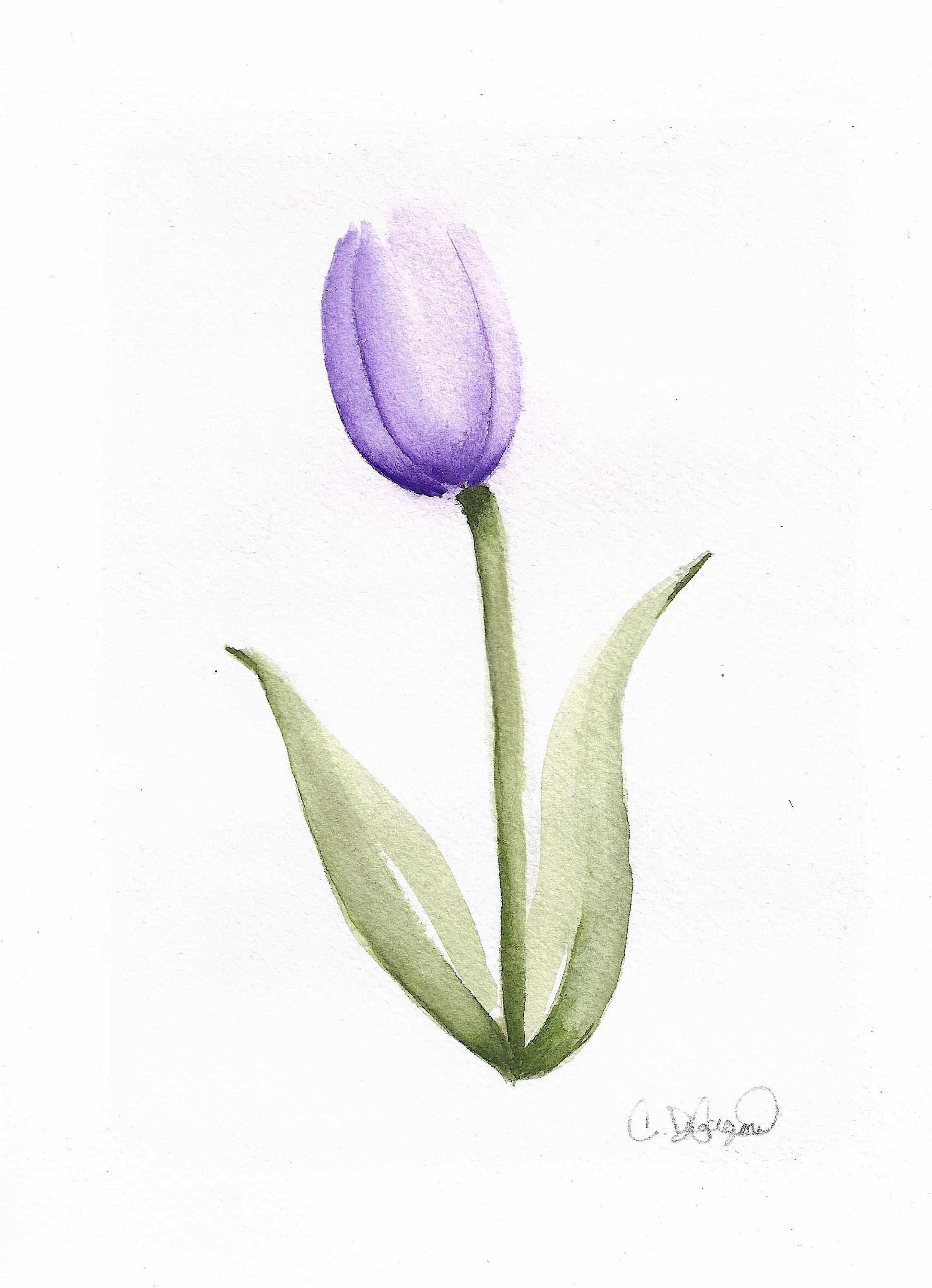 Purple Tulip Watercolor Flower (prints) - Etsy