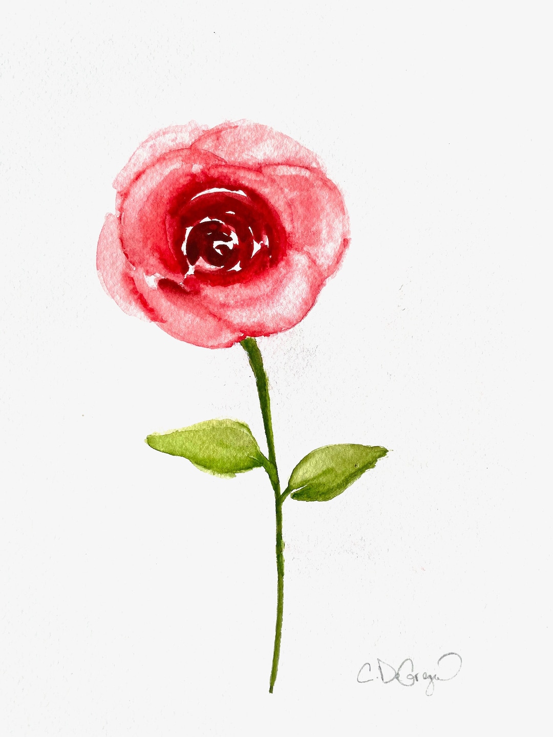 Gorgeous Pink Rose in Watercolor (prints) - Etsy