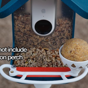 Suet Holder Cup for Bird Buddy Bird Feeder - With Stainless Steel Screw ...