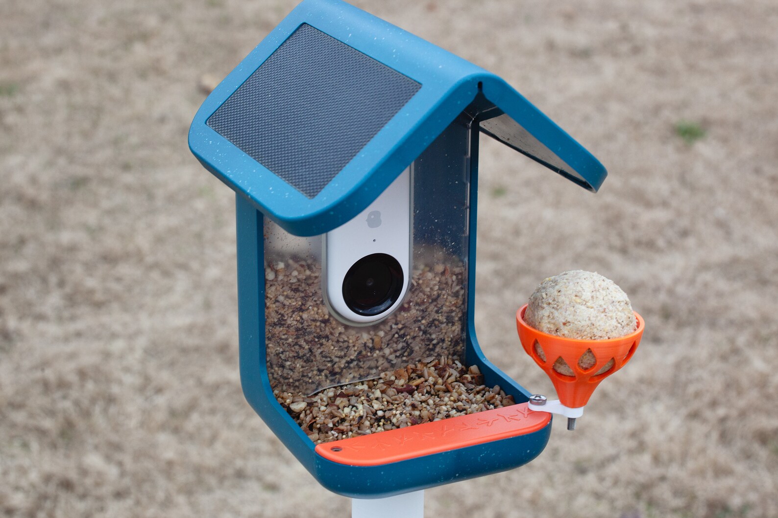 Standoff Arm for Bird Buddy Suet Holder or Accessories - With Stainless ...