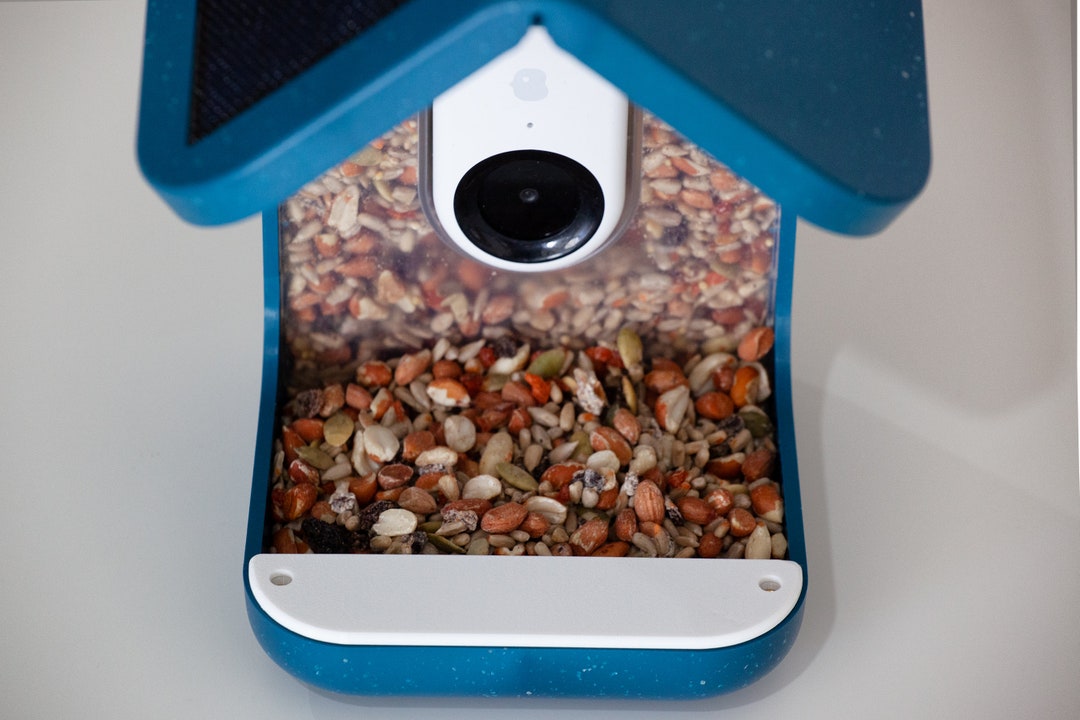 Replacement Perch for Bird Buddy Stock Perch - With Threaded Brass ...