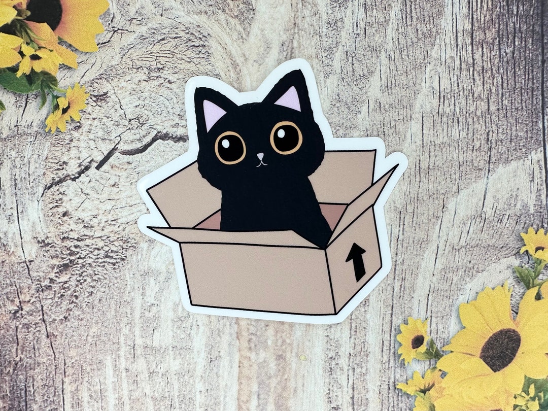 Cat in Box Sticker, Black Cat Sticker, Bookish Cat Sticker, Gifts for ...
