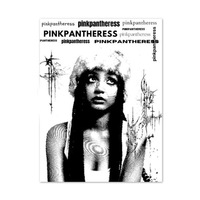 Pinkpantheress Poster Limited Edition Print Pop Poster - Etsy UK