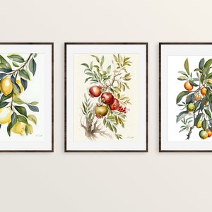 Set of 3 Citrus Vintage Kitchen Posters, Lemons Print, Lemon Watercolor ...
