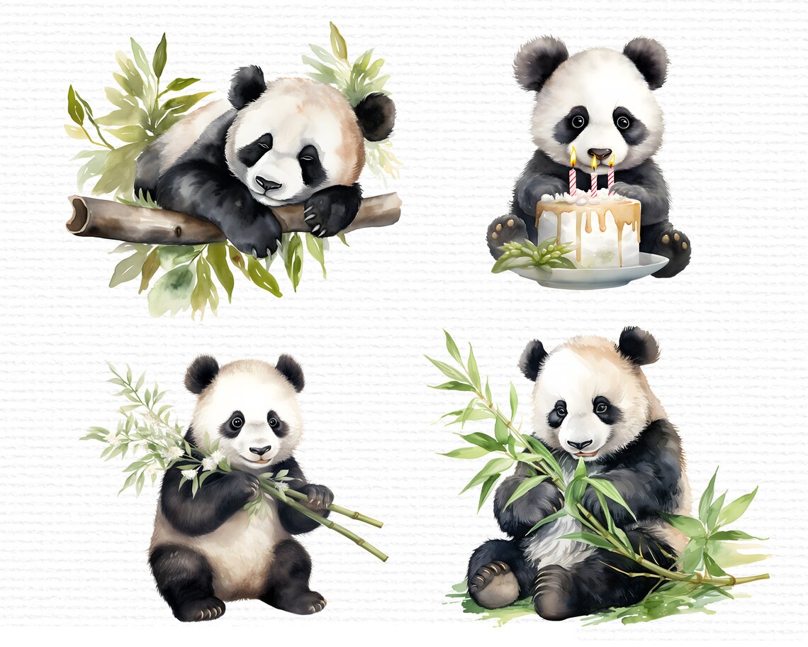 Panda Watercolor Clipart Set Panda Illustration Panda - Etsy