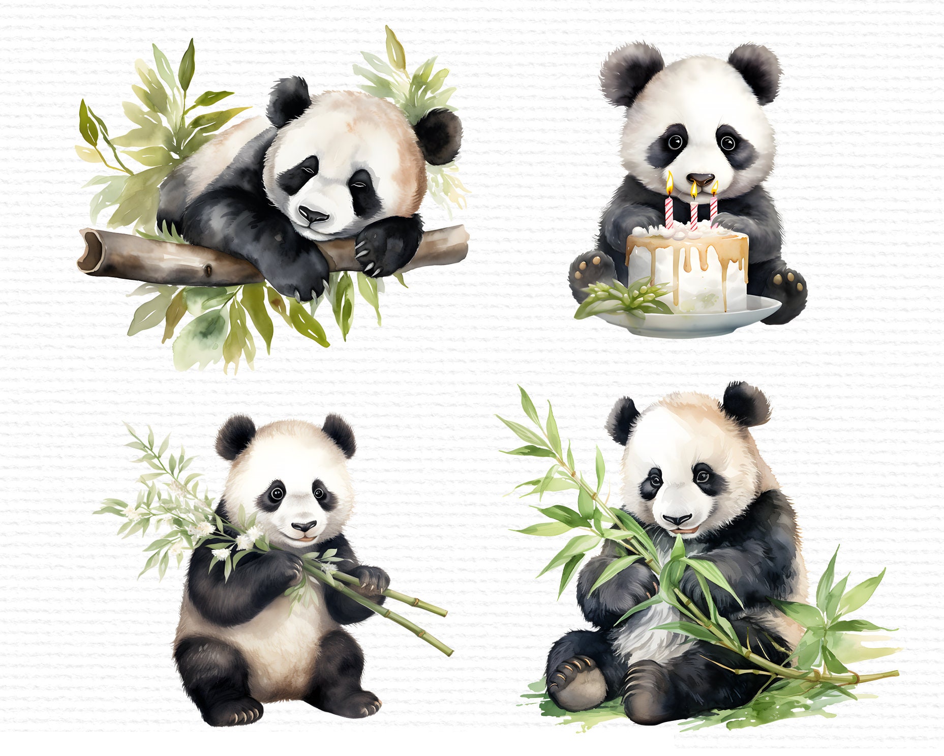 Panda Watercolor Clipart Set, Panda Illustration, Panda Clipart PNG ...