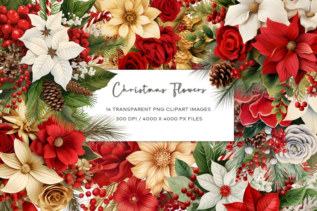 Watercolor Christmas Flowers Clipart, Transparent PNG, Floral Clipart ...