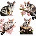Sugar Glider Watercolor Clipart, Sugar Glider Illustration, Transparent ...