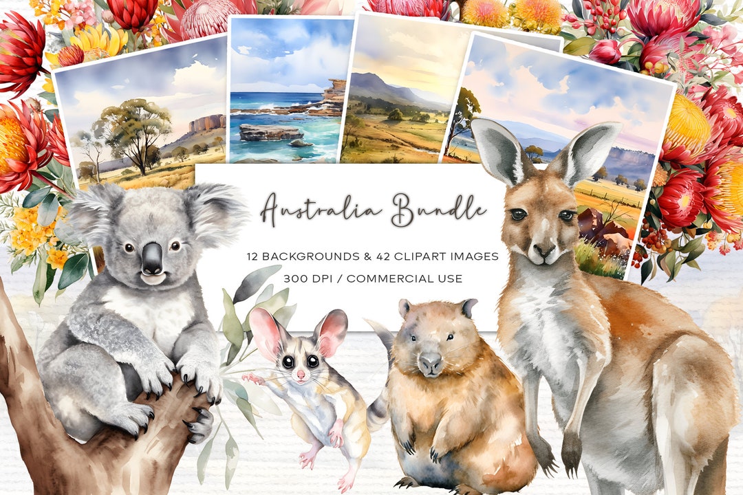 Australia Watercolor Clipart Bundle, Australian Animal Clipart ...