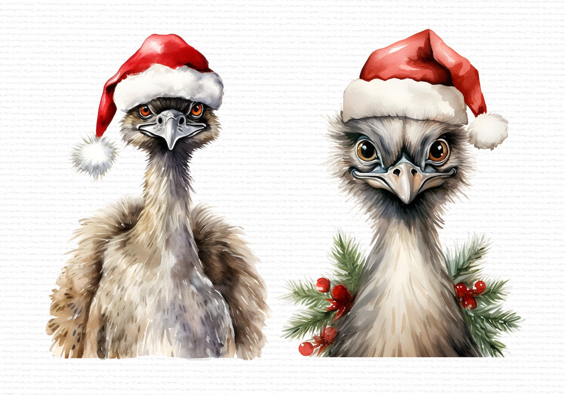 Christmas Australian Animals Watercolor Clipart Kangaroo - Etsy