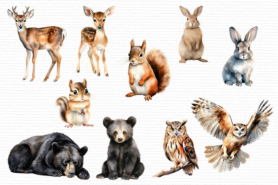 Woodland Animals Clipart, Forest Animal Clipart, Wolf Clipart, Fox ...
