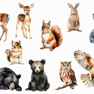 Woodland Animals Clipart, Forest Animal Clipart, Wolf Clipart, Fox ...