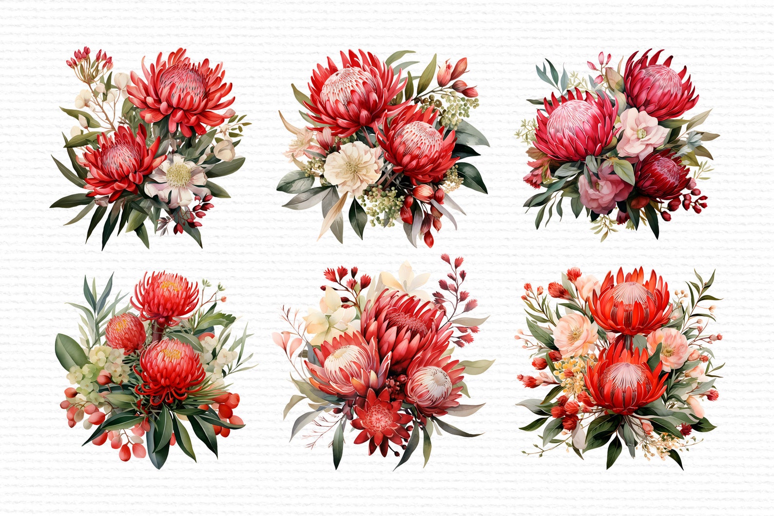 Australian Flowers Watercolor Clipart, Aussie Flowers, Instant Download ...