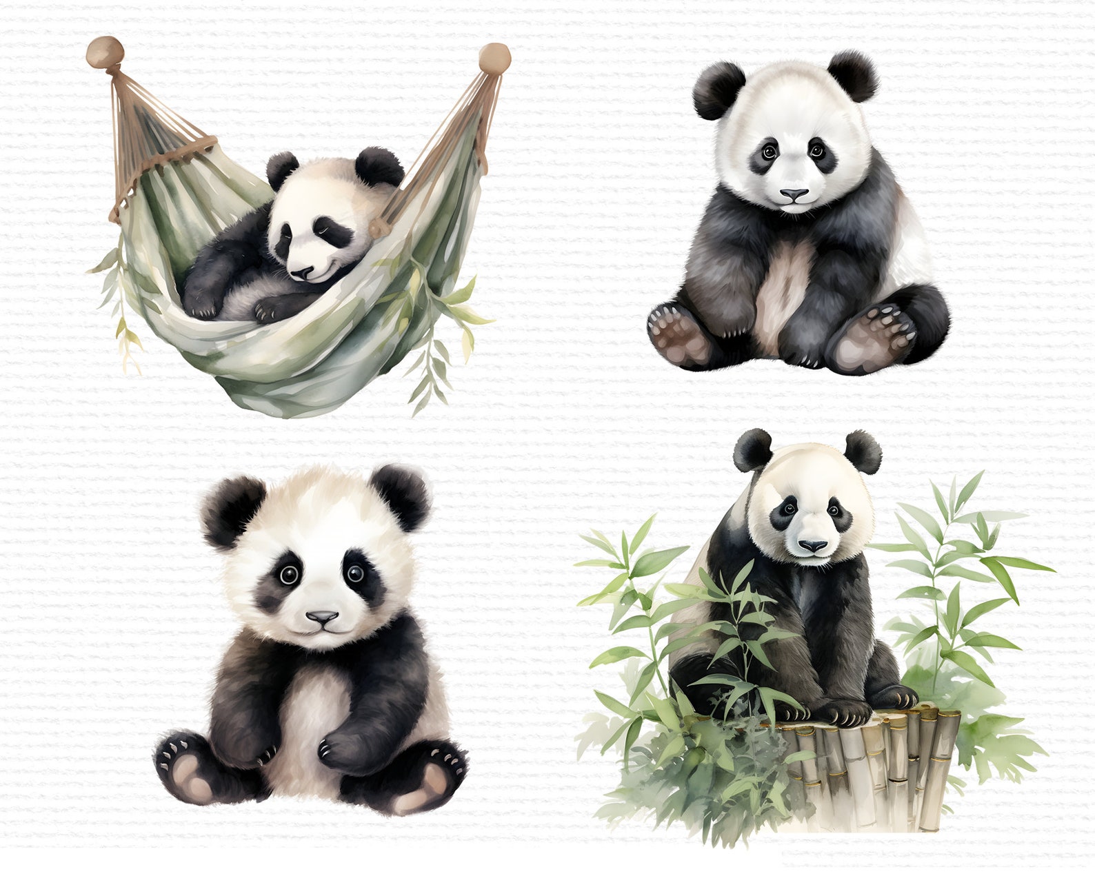 Panda Watercolor Clipart Set Panda Illustration Panda - Etsy