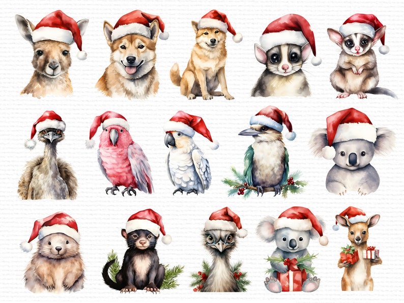 Christmas Australian Animals Watercolor Clipart, Kangaroo Clipart ...