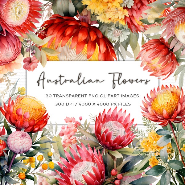 Watercolor. Australian Flowers - Etsy Australia