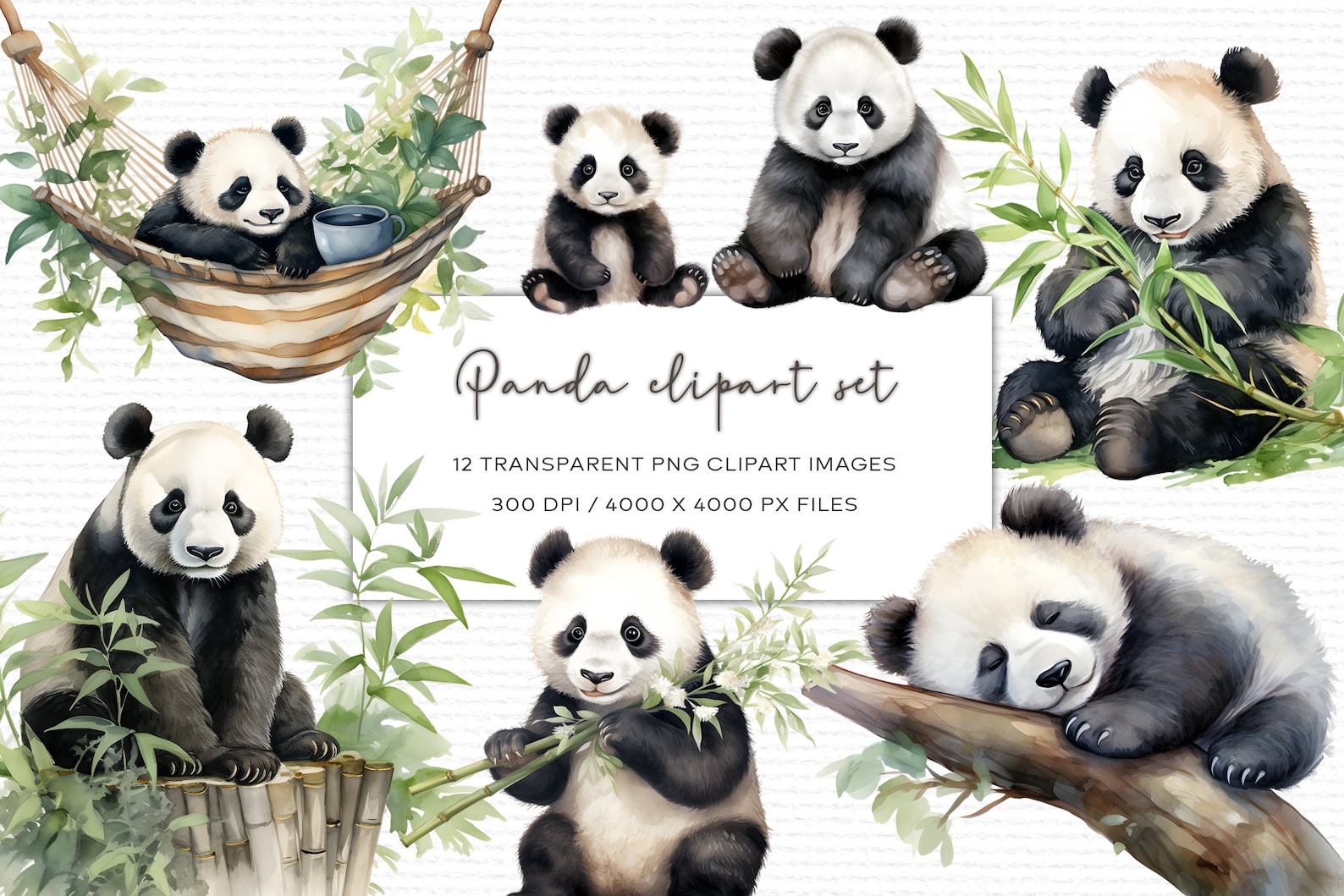 Panda Watercolor Clipart Set, Panda Illustration, Panda Clipart PNG ...
