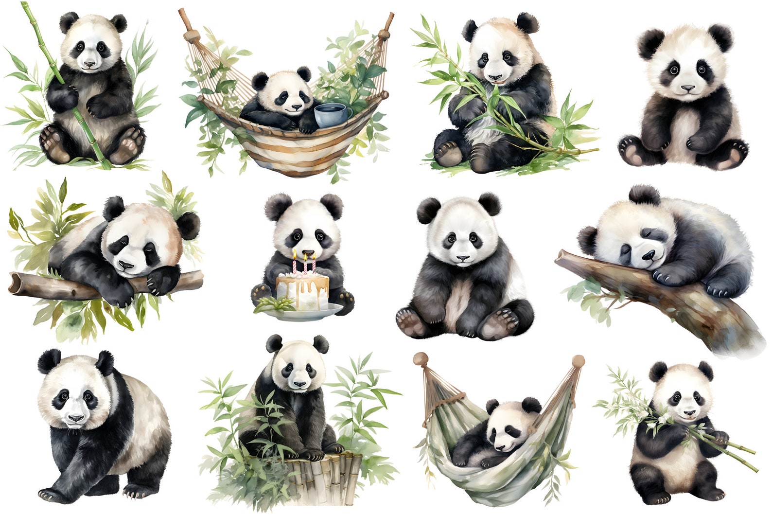Panda Watercolor Clipart Set Panda Illustration Panda - Etsy