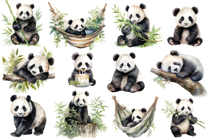 Panda Watercolor Clipart Set, Panda Illustration, Panda Clipart PNG ...