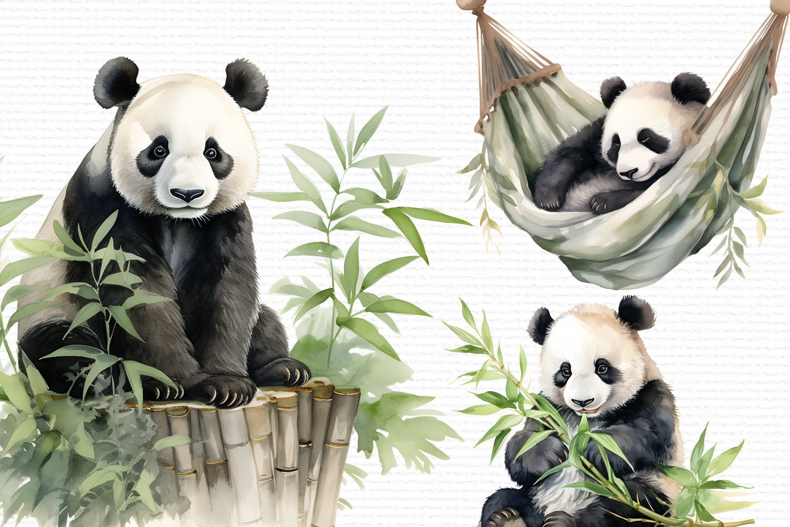 Panda Watercolor Clipart Set Panda Illustration Panda - Etsy