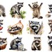 Raccoon Watercolor Clipart, Raccoon Illustration, Transparent PNG ...