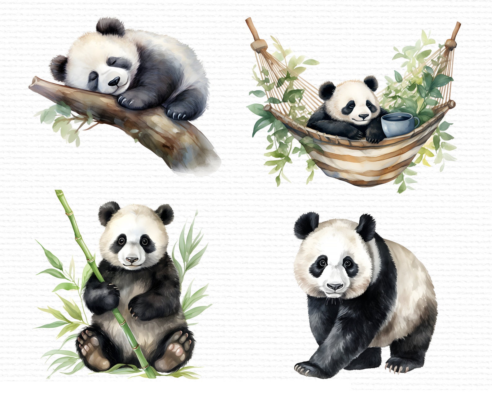 Panda Watercolor Clipart Set Panda Illustration Panda - Etsy