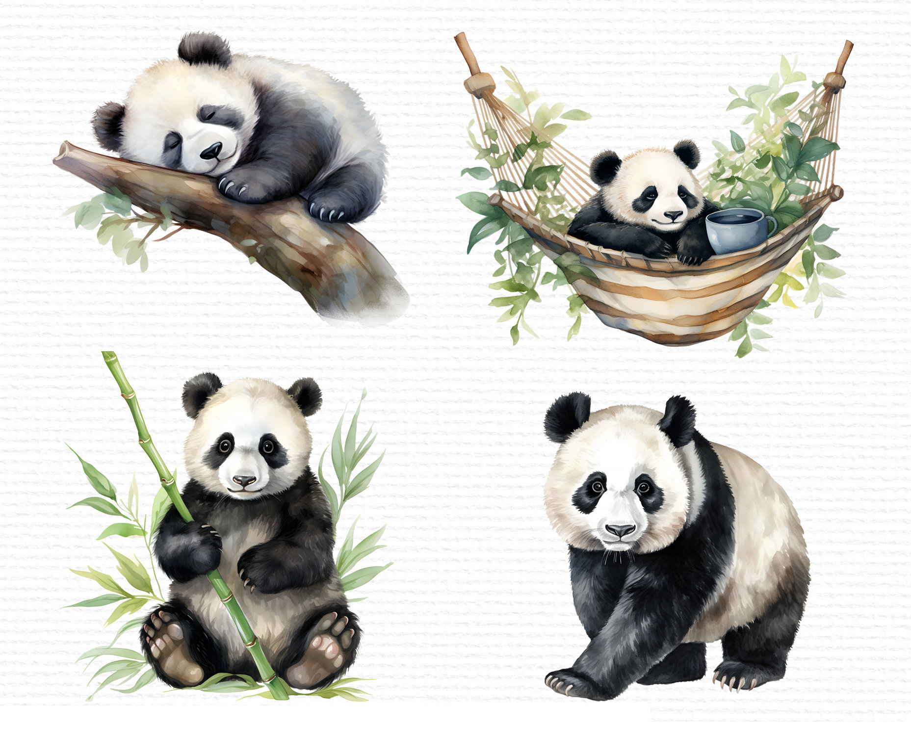 Panda Watercolor Clipart Set, Panda Illustration, Panda Clipart PNG ...
