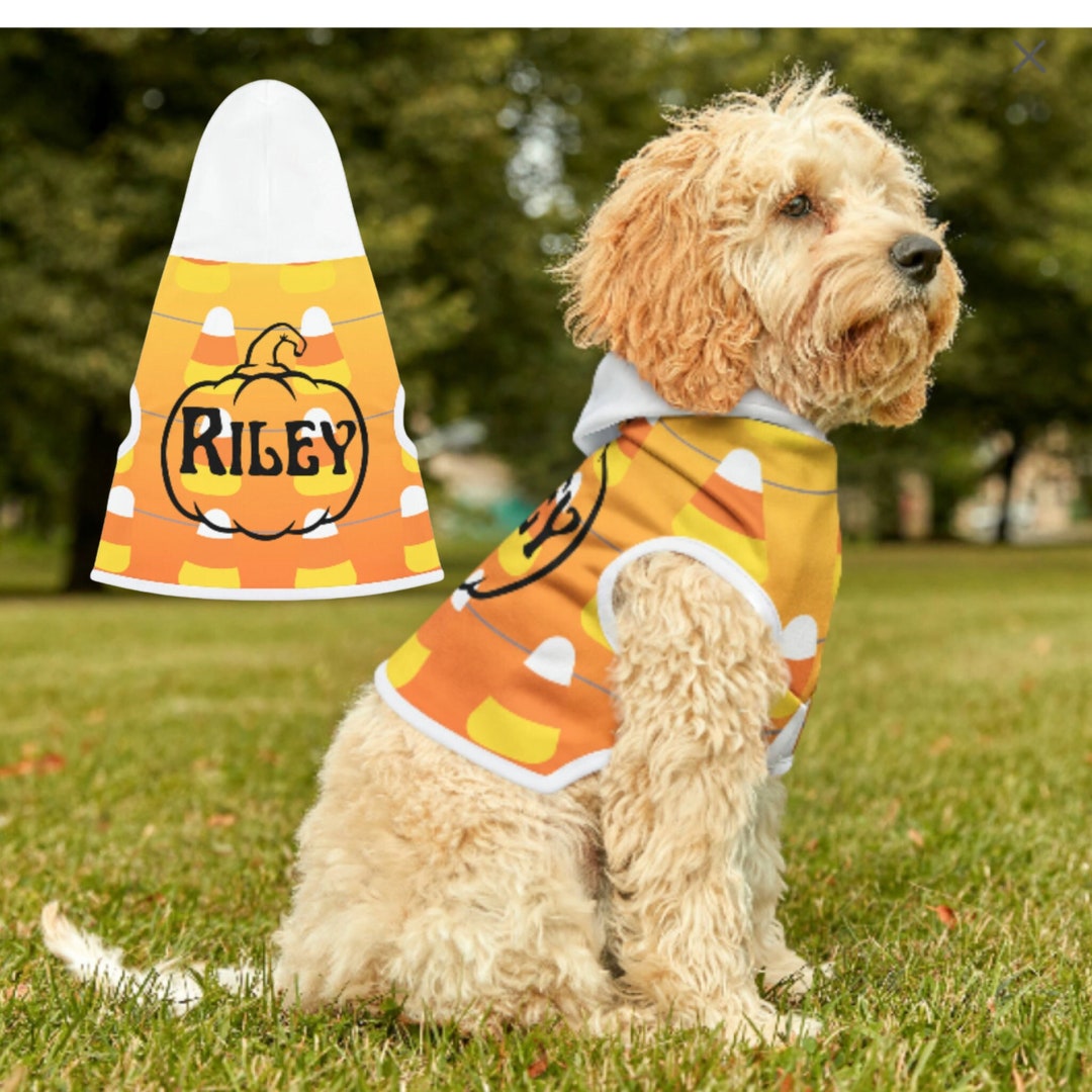 Personalized Candy Corn Ombre Dog or Cat Hoodie Humane - Etsy