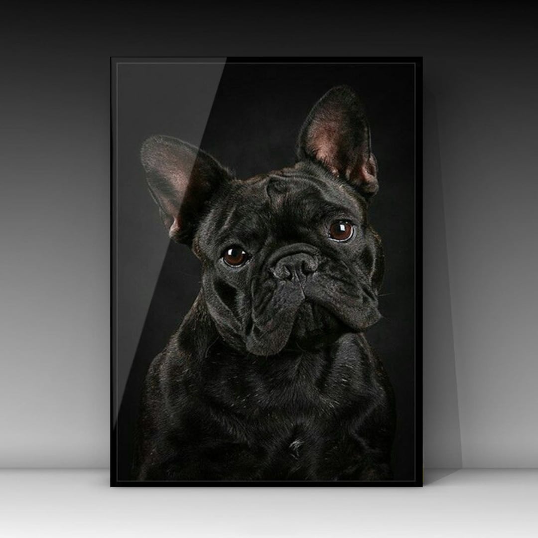 French Bulldog Poster French Bulldog Poster Aluminum Poster - Etsy