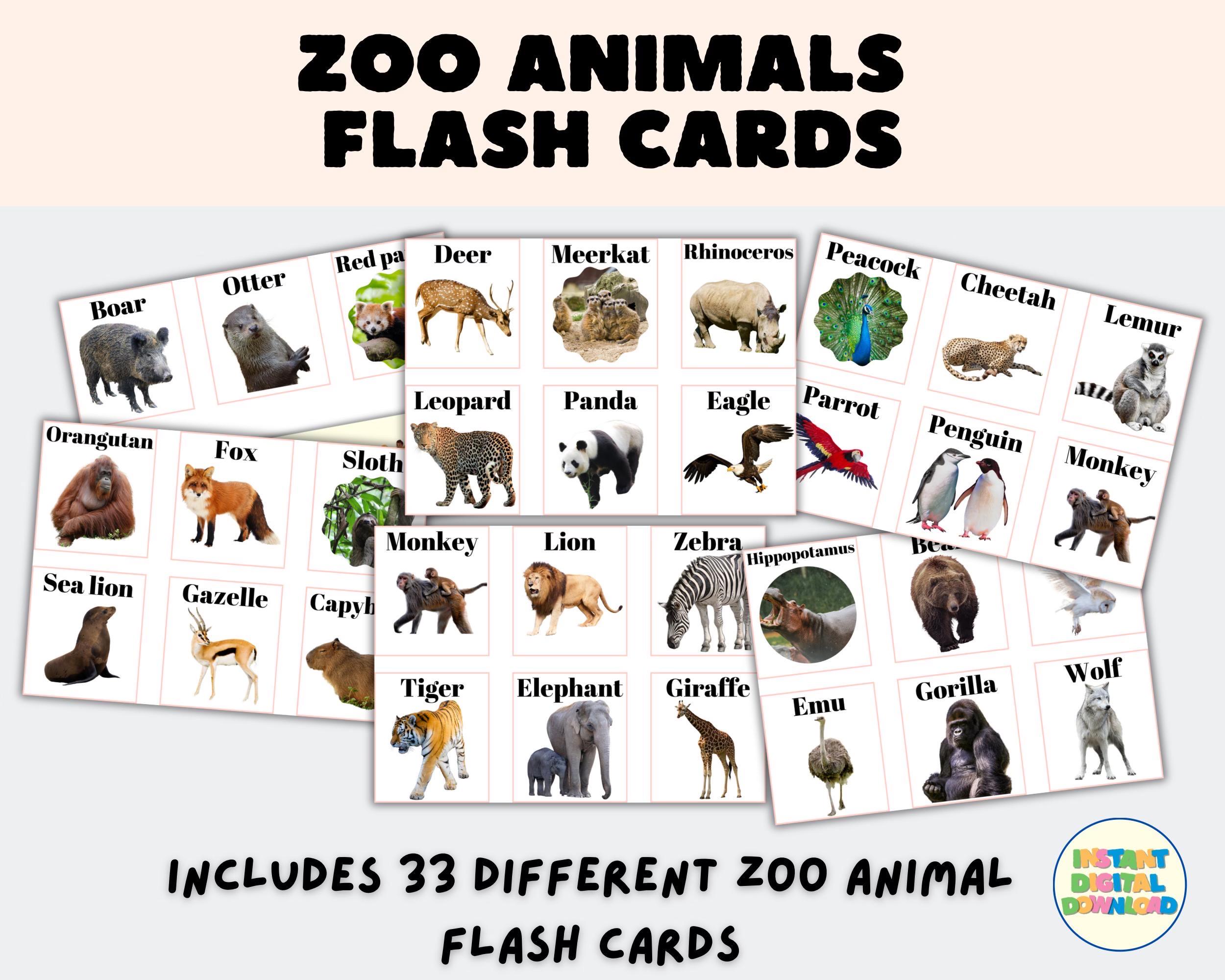 Zoo Animal Flashcards, Educational Materials for Children, Printable ...