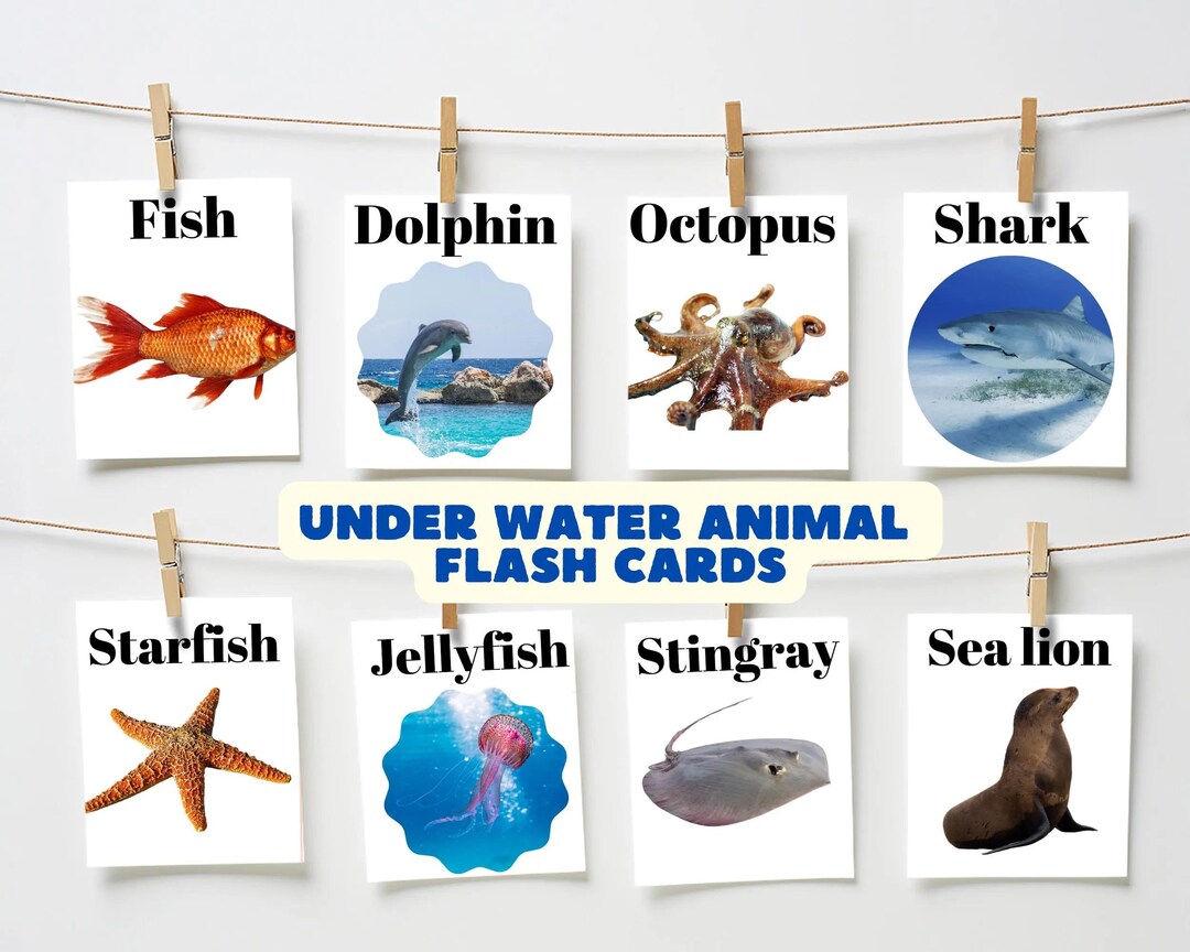Animal Flashcards, Under the Sea Creatures, Homeschool Printables ...