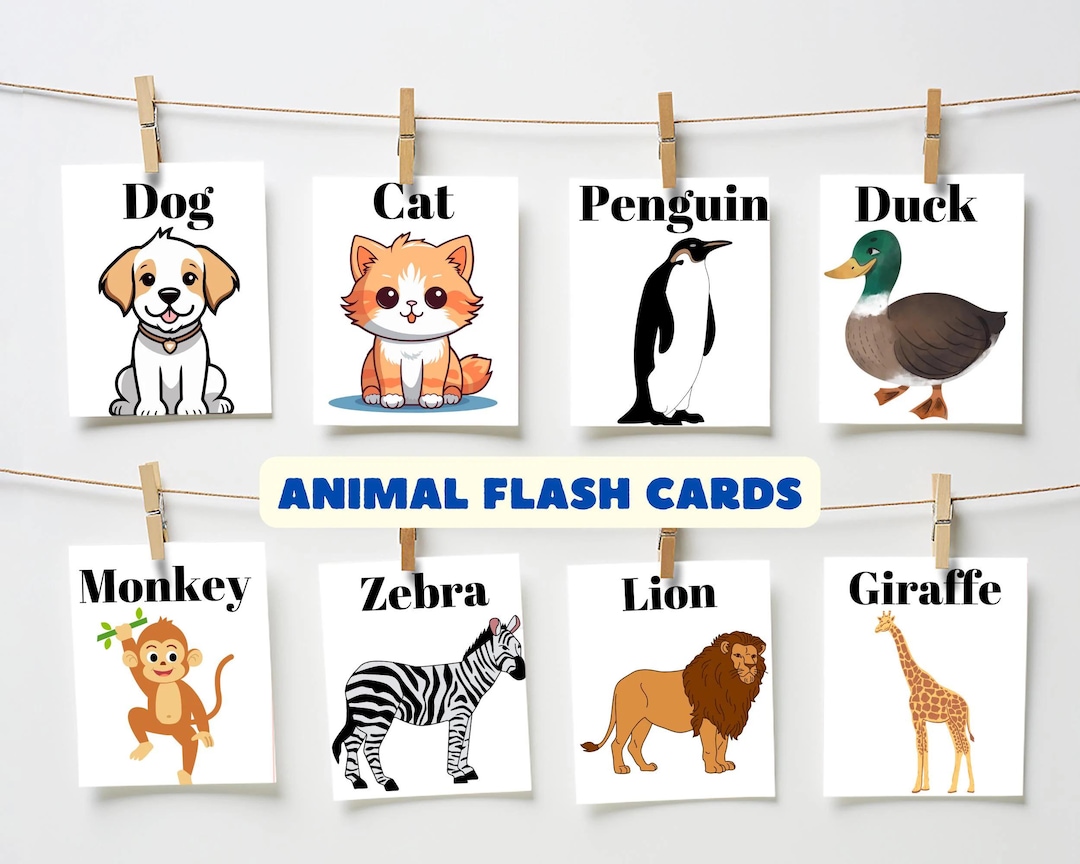 Animal Flashcards Printable, Learning Animals, Homeschool Printable ...