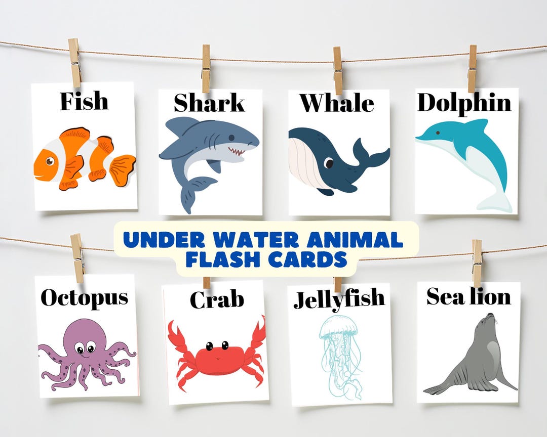 Animal Flashcards, Under the Sea Creatures, Homeschool Printables ...