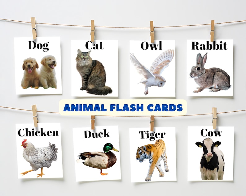 Printable Animal Flashcards, Preschool Flash Cards, Toddler Learning ...